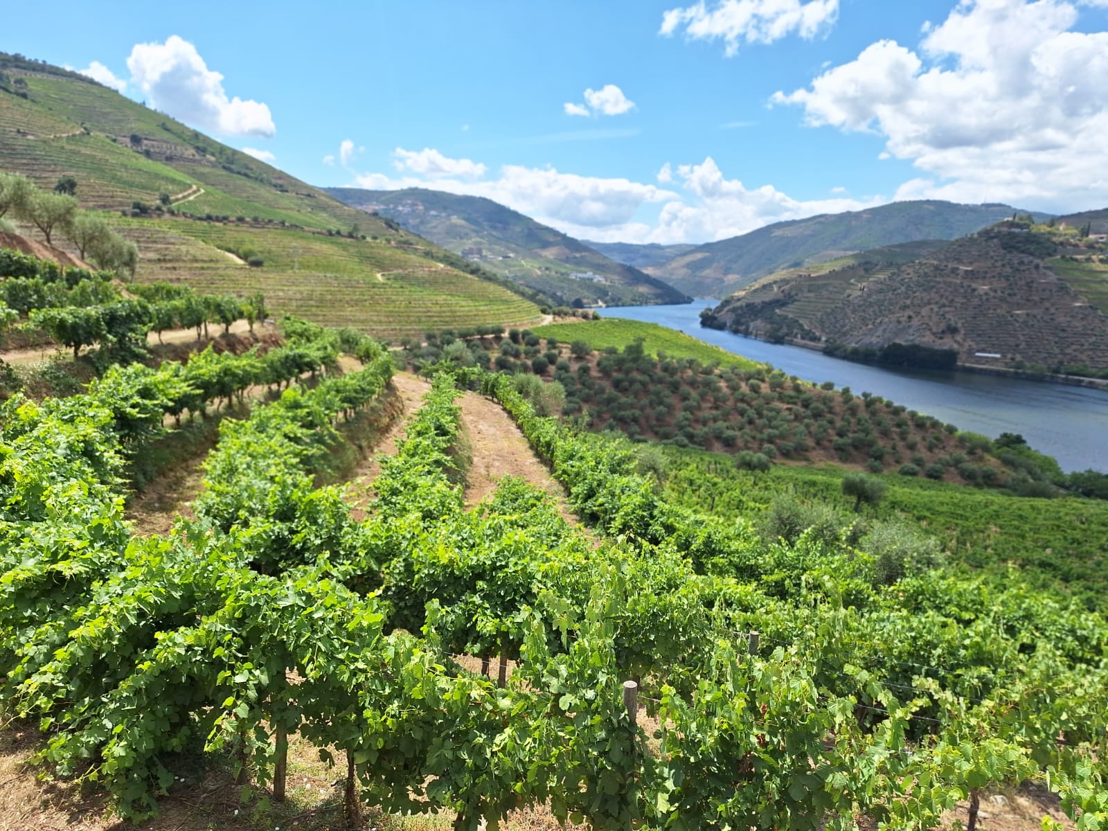 Our Douro